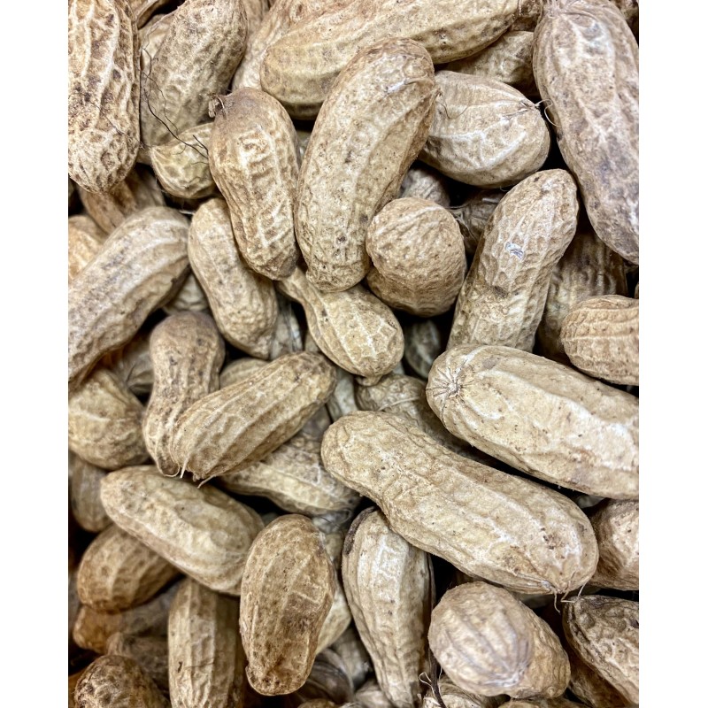 Grossiste fruits et légumes exotiques sur Rungis