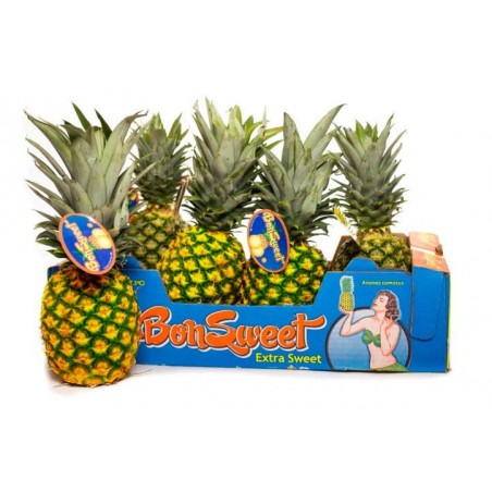 Ananas extra sweet A8 C.R